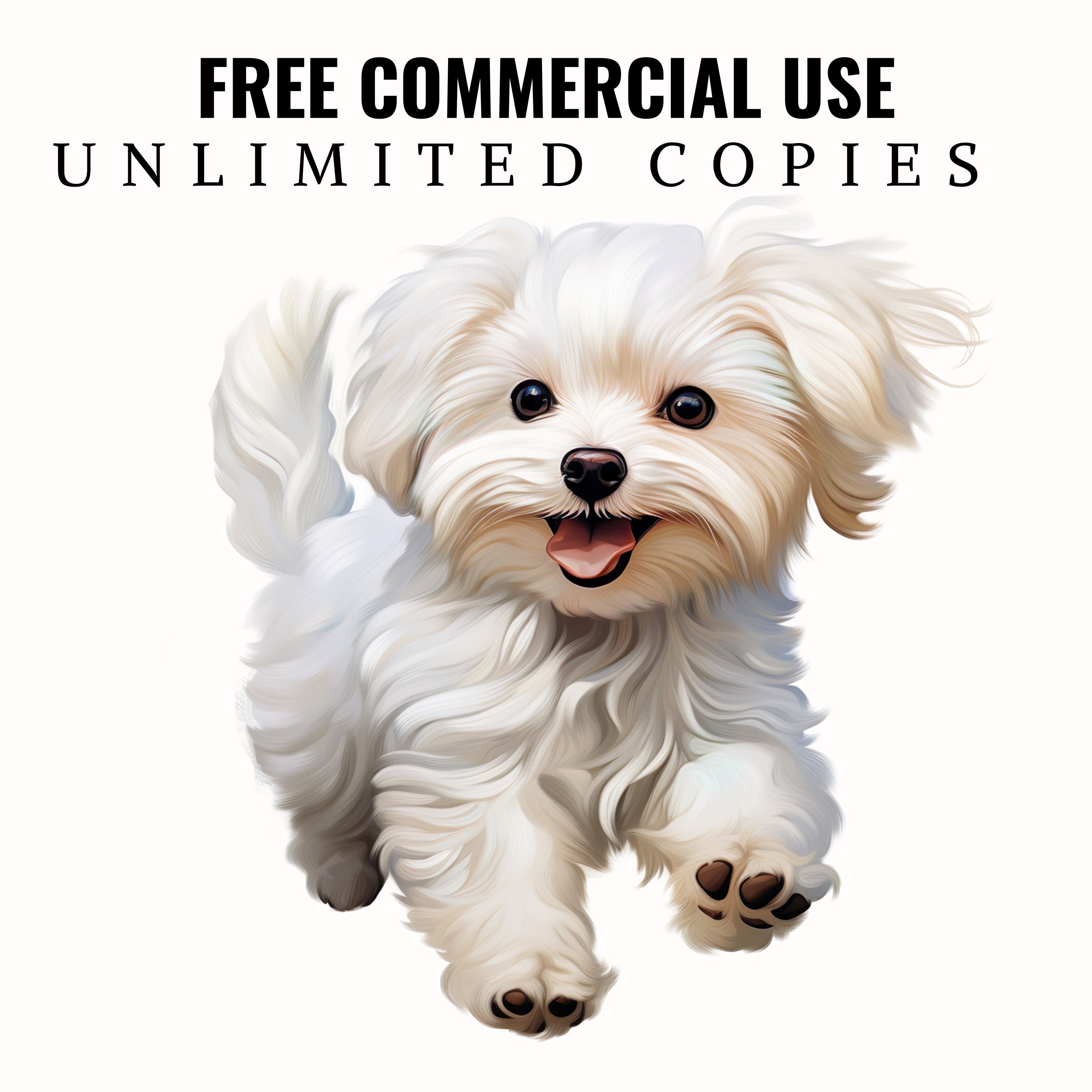 Fluffy Maltese Dog Clip Art, Cute Maltese Dog Illustration PNG, Tiny ...