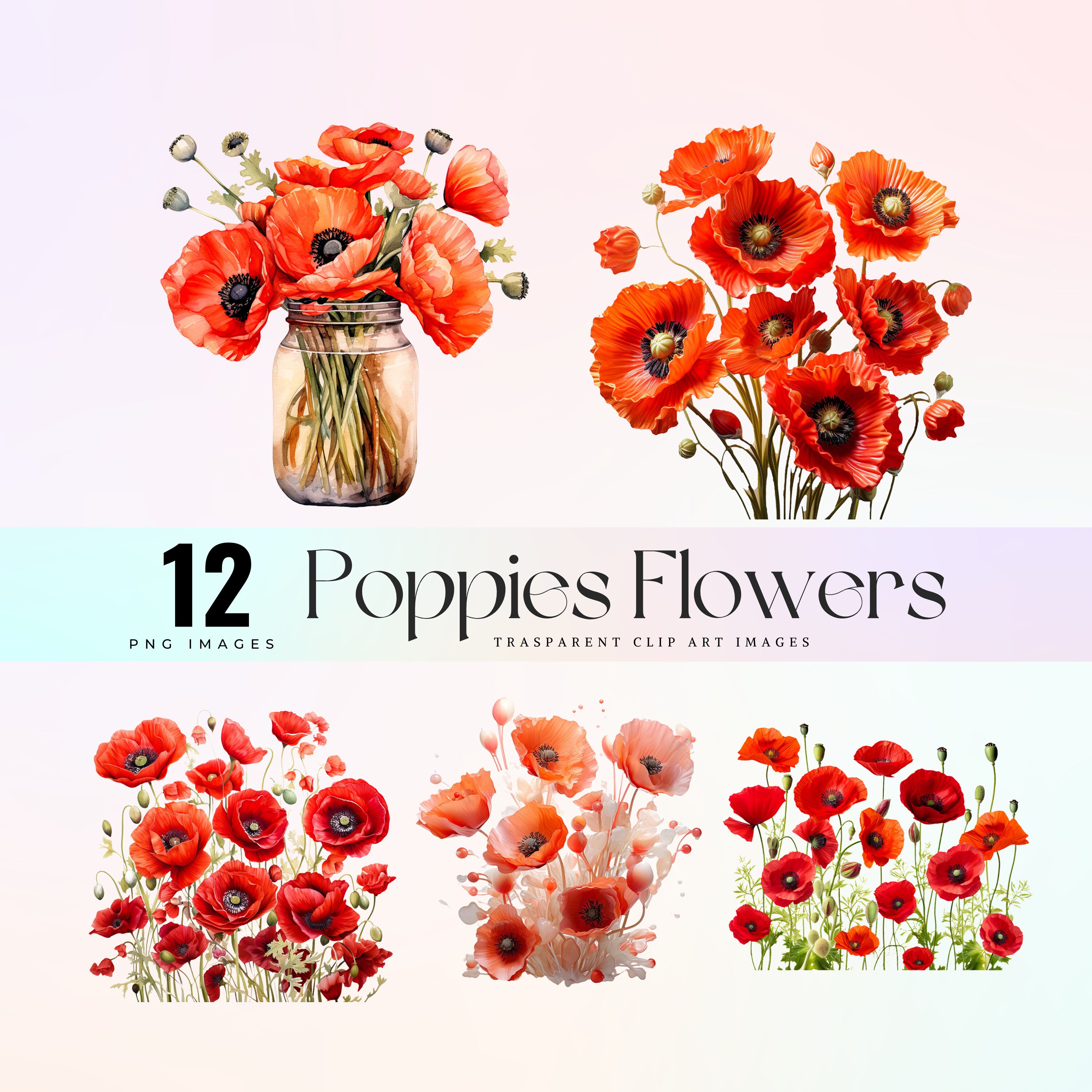 Watercolor Elegant Poppies Clip Art, Sophisticated Scarlet Poppy ...
