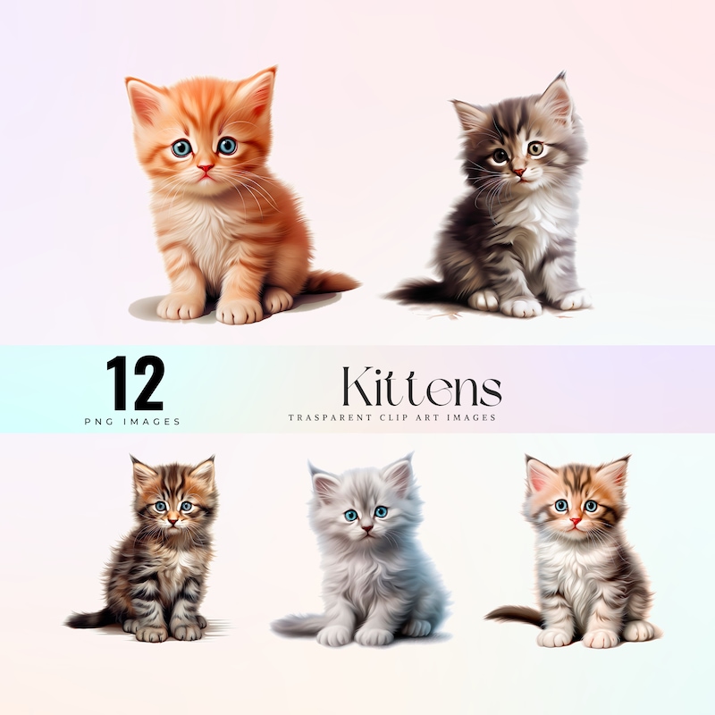 Kitten Clip Art - Etsy