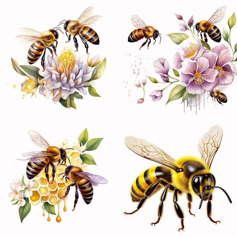 Sweet Honey Bees Clip Art Watercolor Nectar Buzz Illustration Png Cute Bee Artwork Sugary