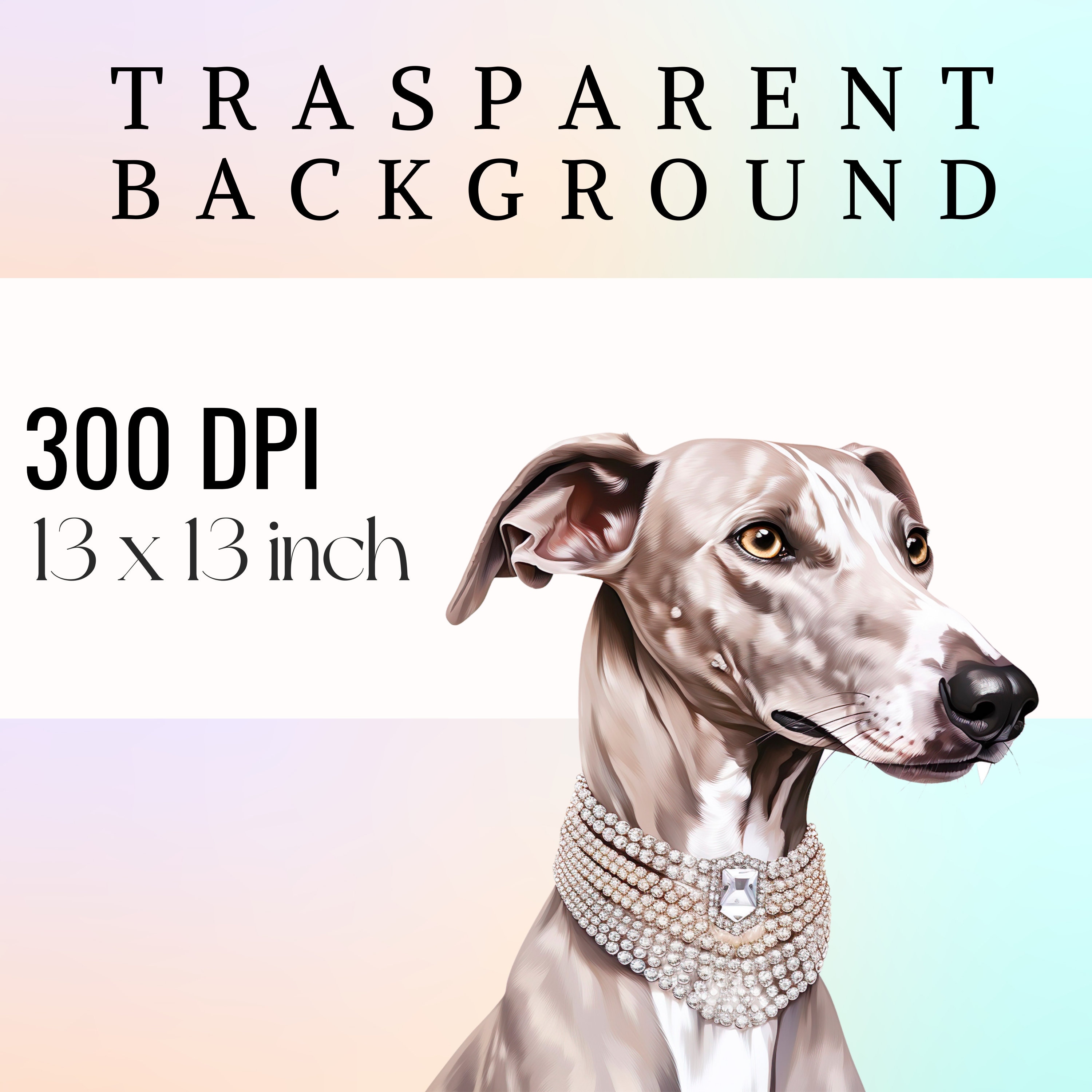 Cute Greyhound Breed Portrait Clip Art Elegant Galgo - Etsy