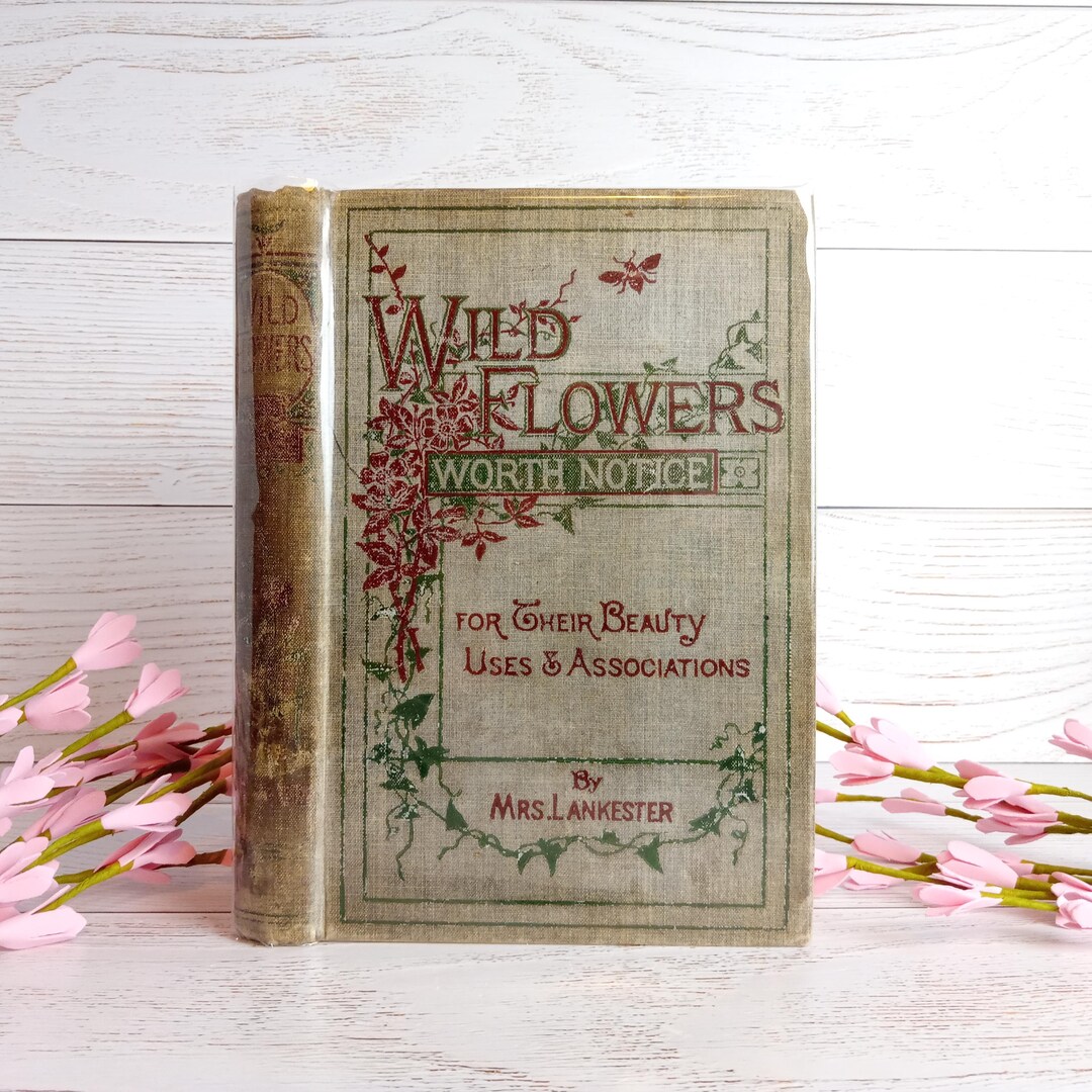 Mrs Lankester, Wild Flowers Worth Notice, Lovely 1904 Antique Book With ...