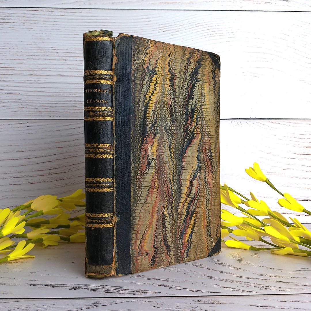 1791 James Thomson, the Seasons, RARE Poetry Book, Minerva Press ...