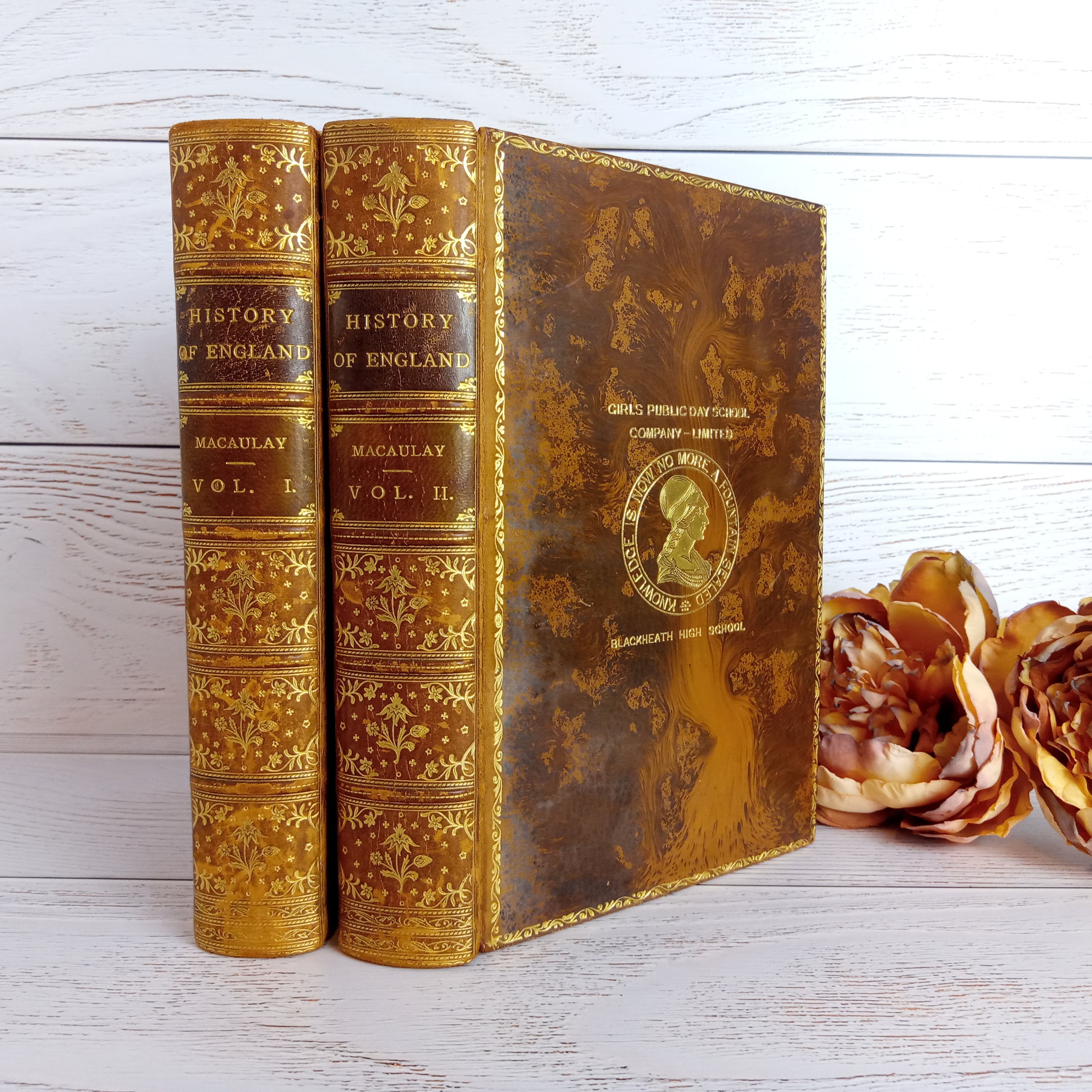 Lord Macaulay BEAUTIFUL BINDINGS History of England 2 Classic Volumes ...