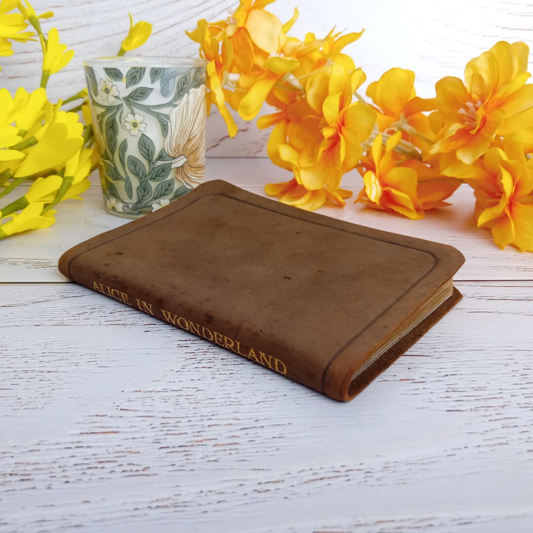 1920 Lewis Carroll, Alice in Wonderland, RARE & DELIGHTFUL, Suede Bound ...
