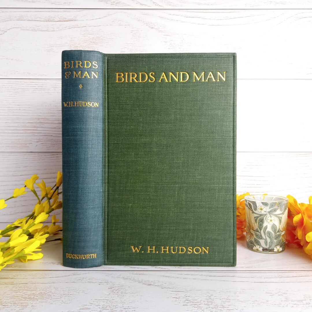 W H Hudson, Birds and Man Book, Rare 1915 New Edition, BEAUTIFUL ...