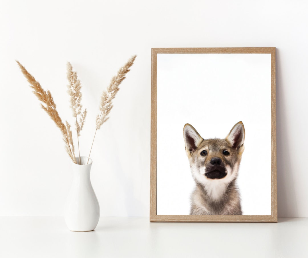 Wolf Pup Downloadable Print, Gray Wolf Wall Art, Animal Home Decor ...