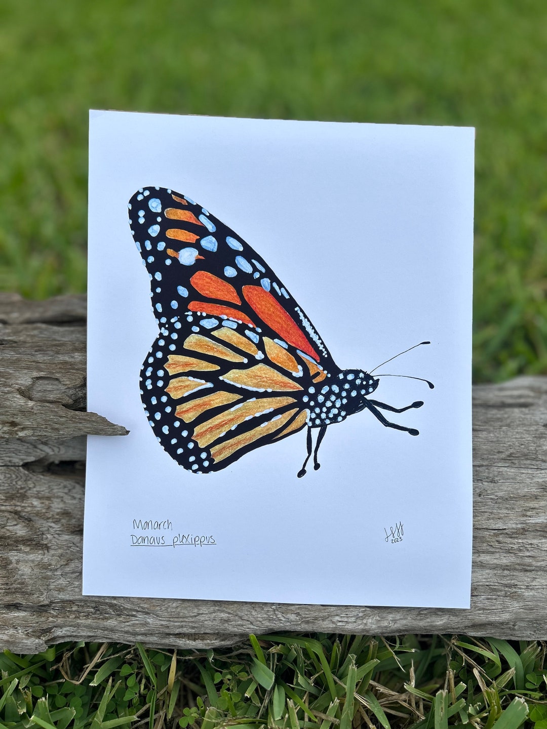 Monarch Butterfly Fine Art Print - Etsy