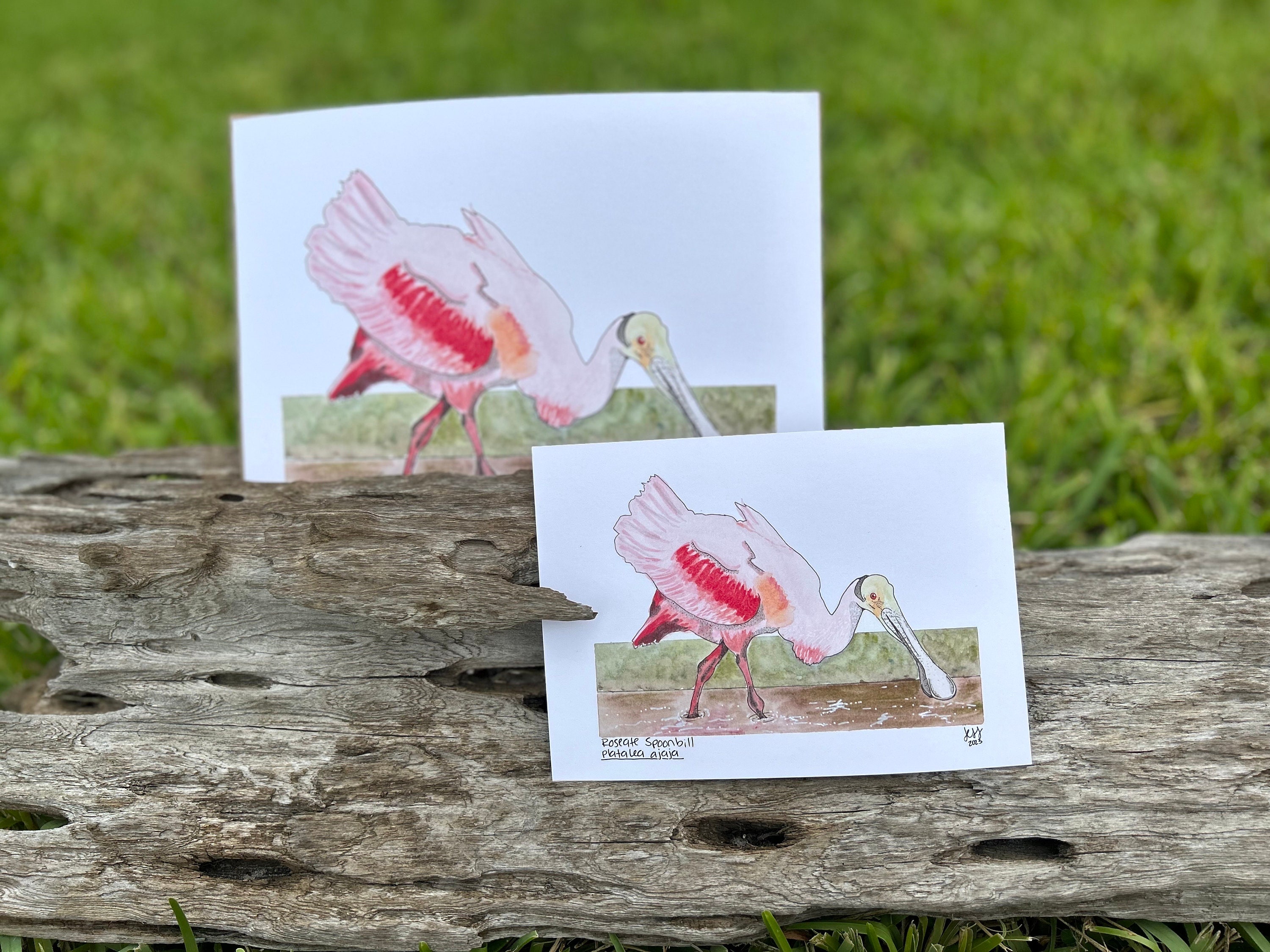 Roseate Spoonbill Fine Art Print - Etsy