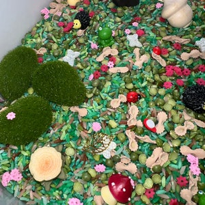 Enchanted Forest Rice Sensory Filler - Etsy