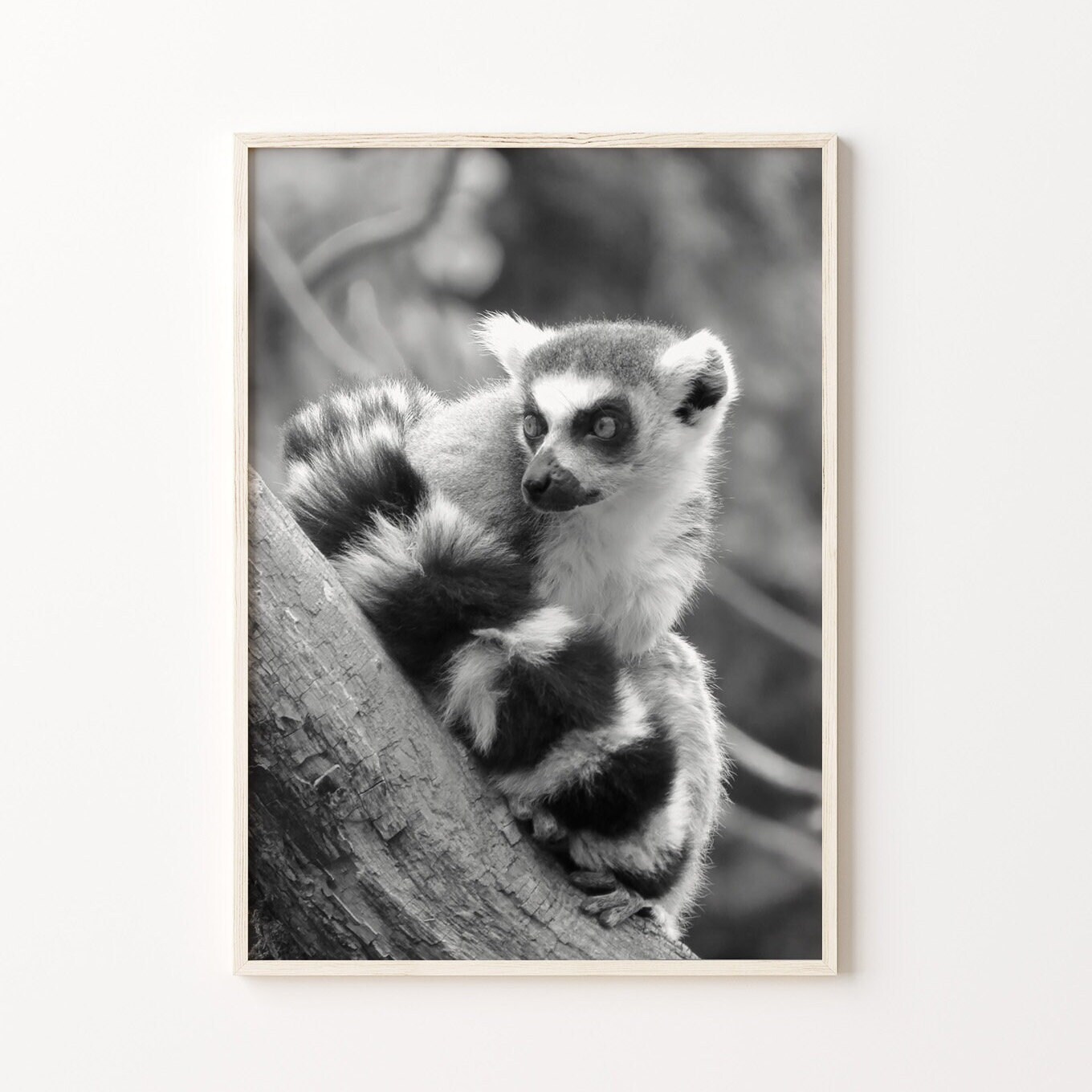 Madagascar Black & White Wall Art Set of 6, Africa Prints, Instant ...
