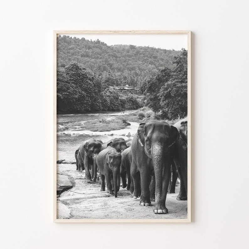 Sri Lanka Black & White Wall Art Set of 6, Sri Lanka Prints, Instant ...
