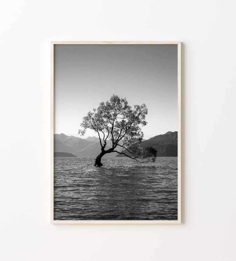 New Zealand, Wanaka Tree, Instant Download, Black White Photography ...