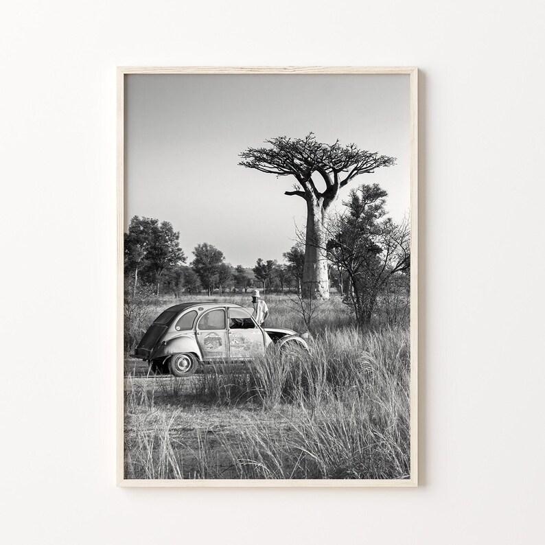 Madagascar Black & White Wall Art Set of 6, Africa Prints, Instant ...