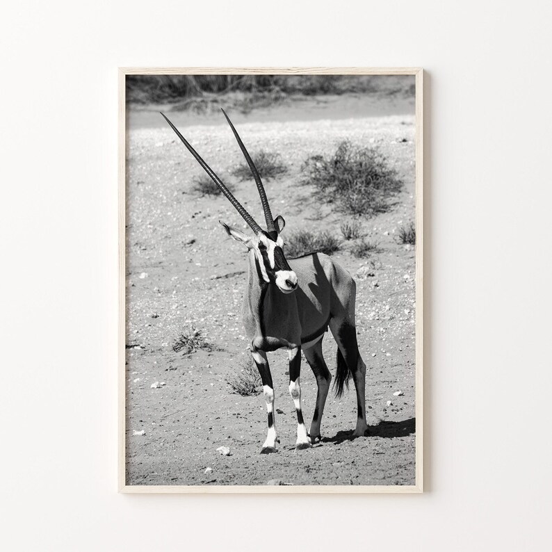 Botswana Black & White Wall Art Set of 6, Botswana Prints, Instant ...