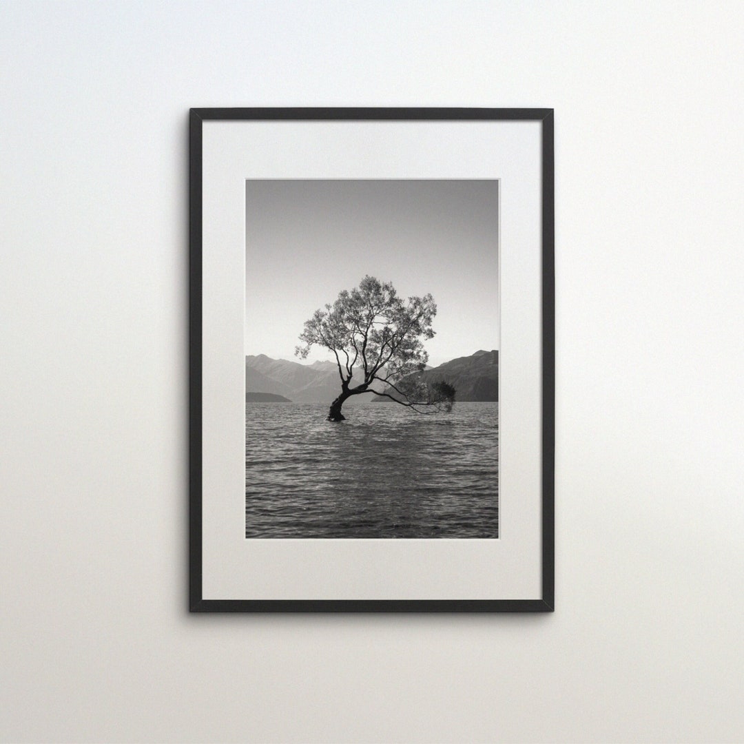 New Zealand, Wanaka Tree, Instant Download, Black White Photography ...