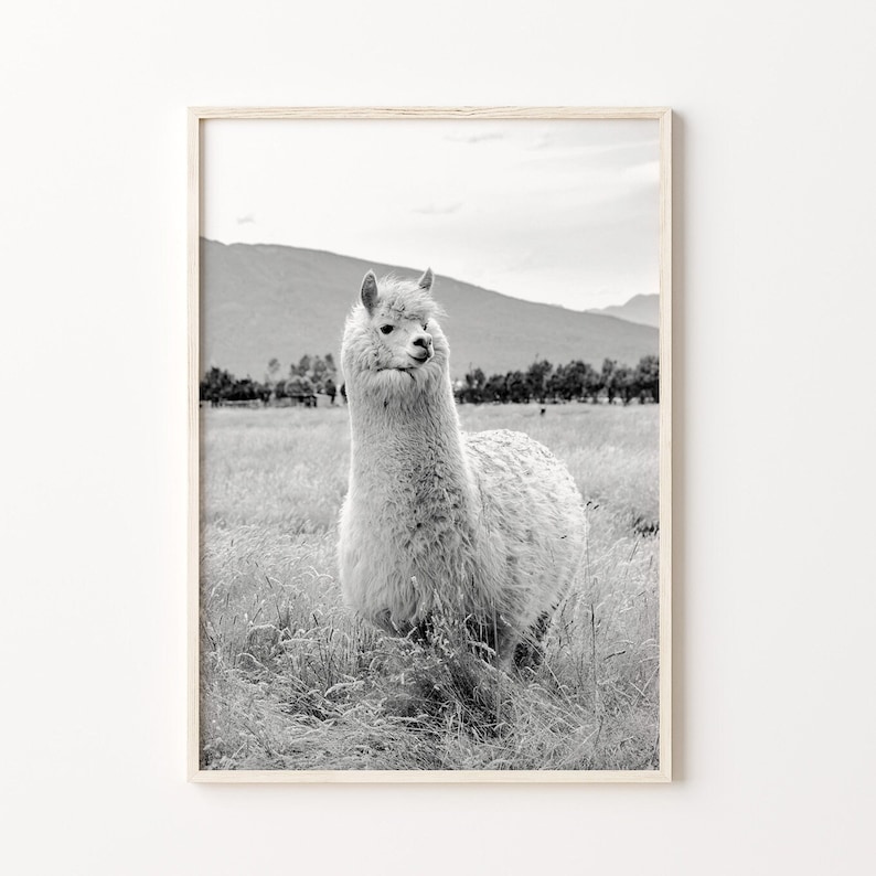 Peru Black & White Wall Art Set of 6, Peru Prints, Instant Download ...