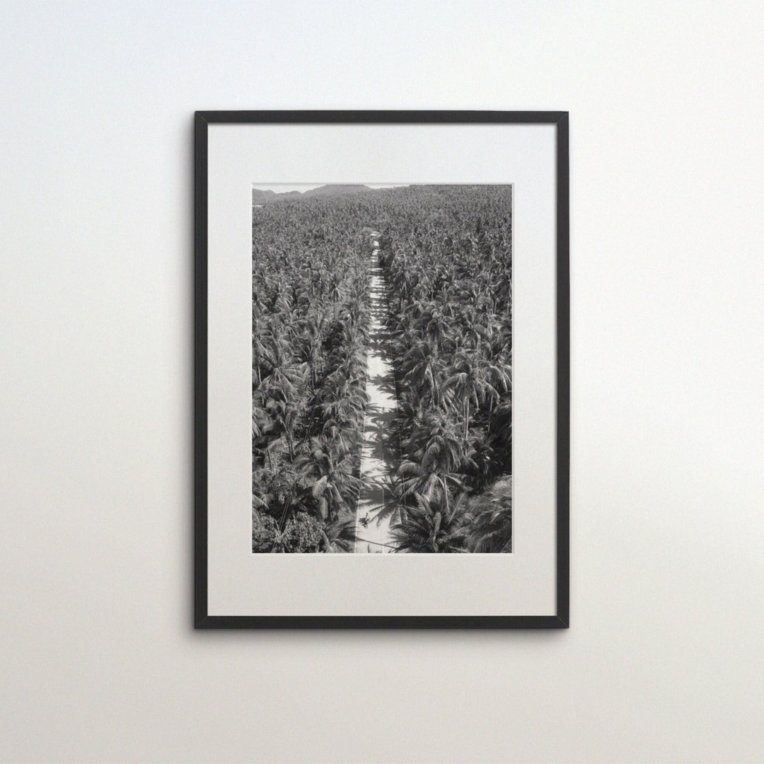 Philippines, Coconut Tree Jungle, Country Road, Instant Download, Black ...
