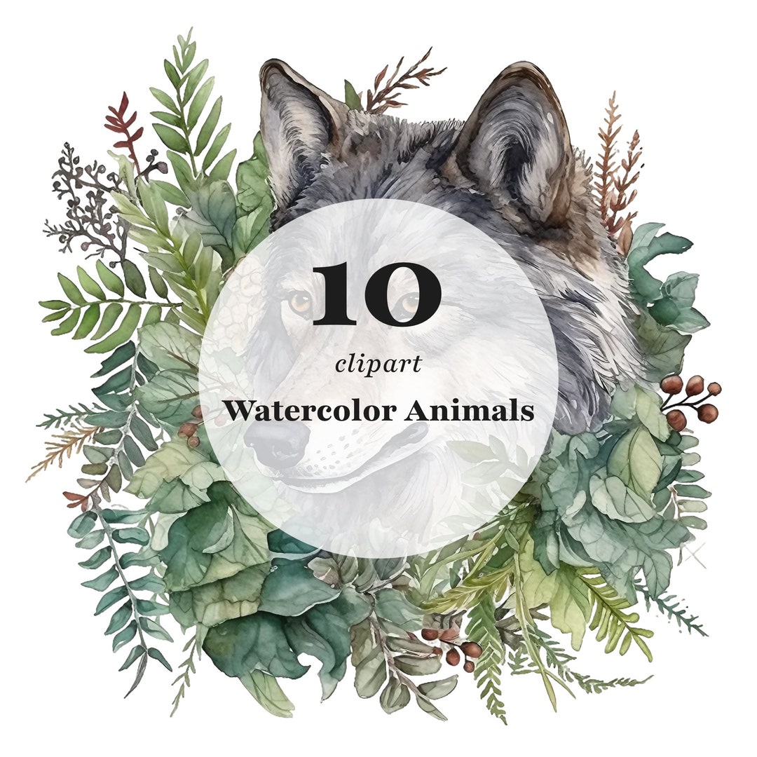 Watercolor Cute Animal Clipart | 10 Watercolor Animal Clipart | PNG ...