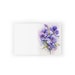Set Watercolor Violet Flowers, Fine Art Blank Card Set, Greeting Cards ...
