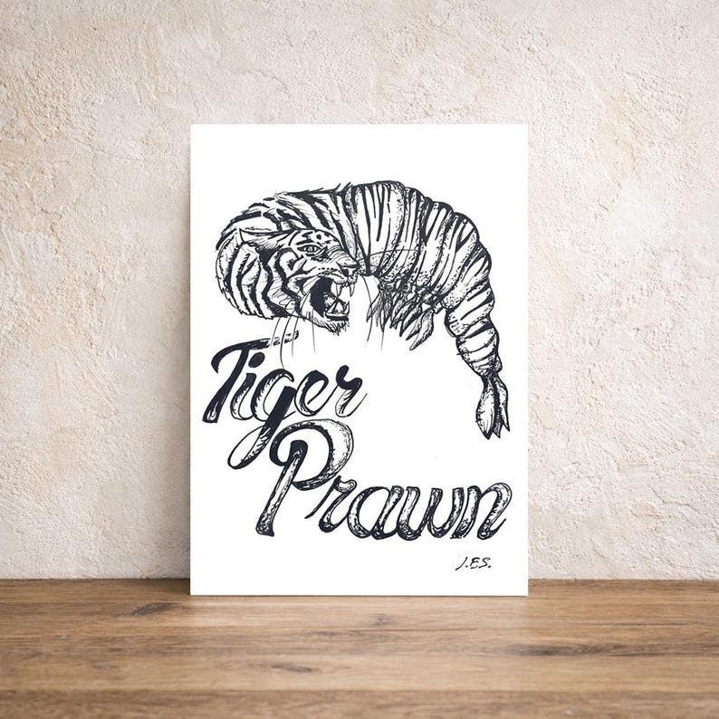 The Tiger Prawn Art Print | Hand-drawn Ink Illustration Print – Premium ...