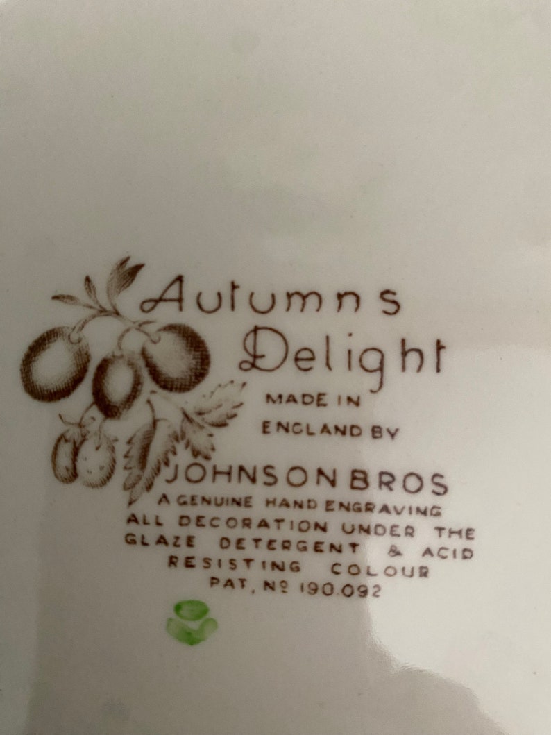 Johnson Brother's, England, autumn's Delight Dinner Plate - Etsy