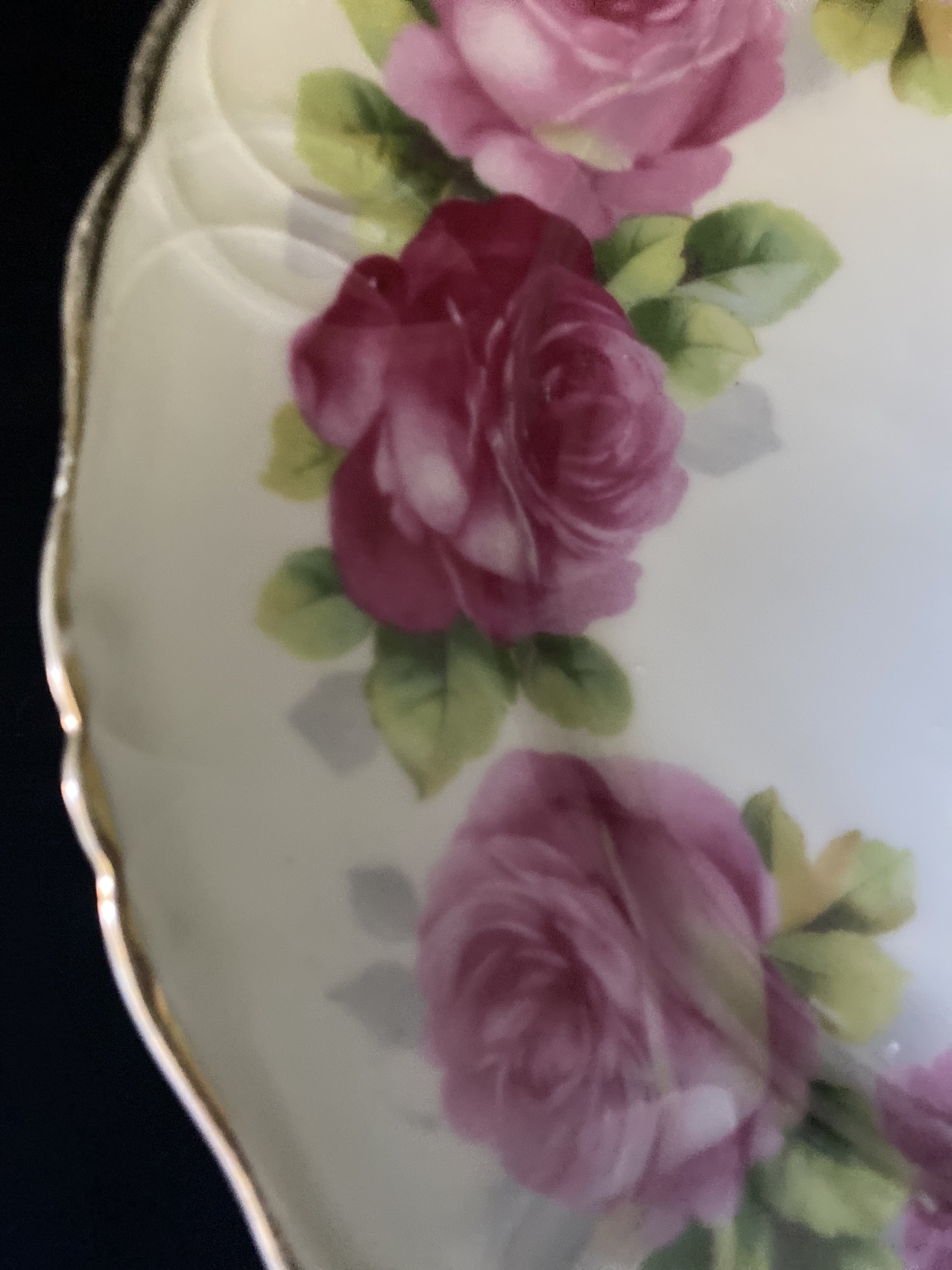 Antique Royal Rudolstadt, Beyer & Bock, Plate, Hand Painted Ring of ...