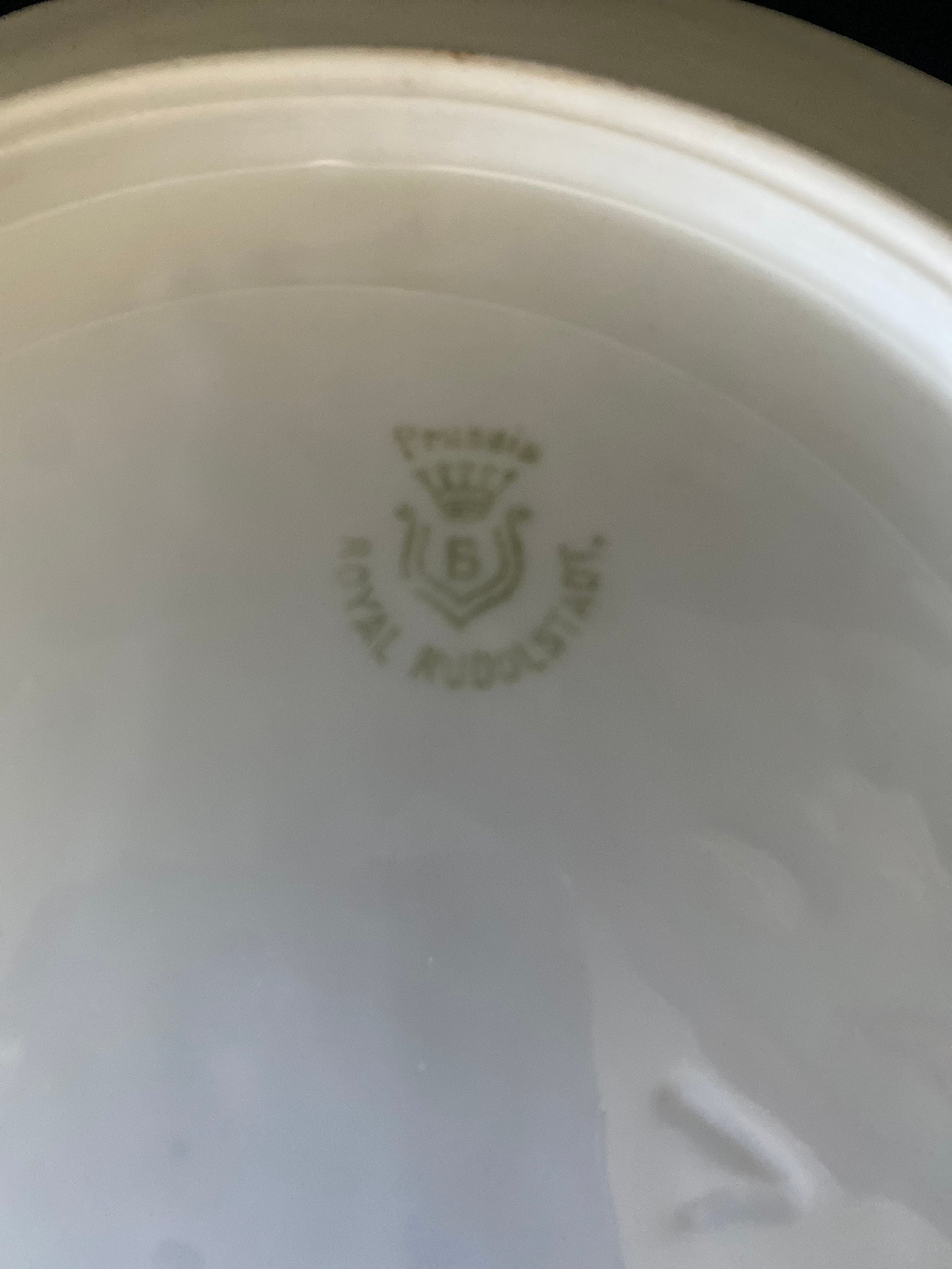 Antique Royal Rudolstadt, Beyer & Bock, Plate, Hand Painted Ring of ...