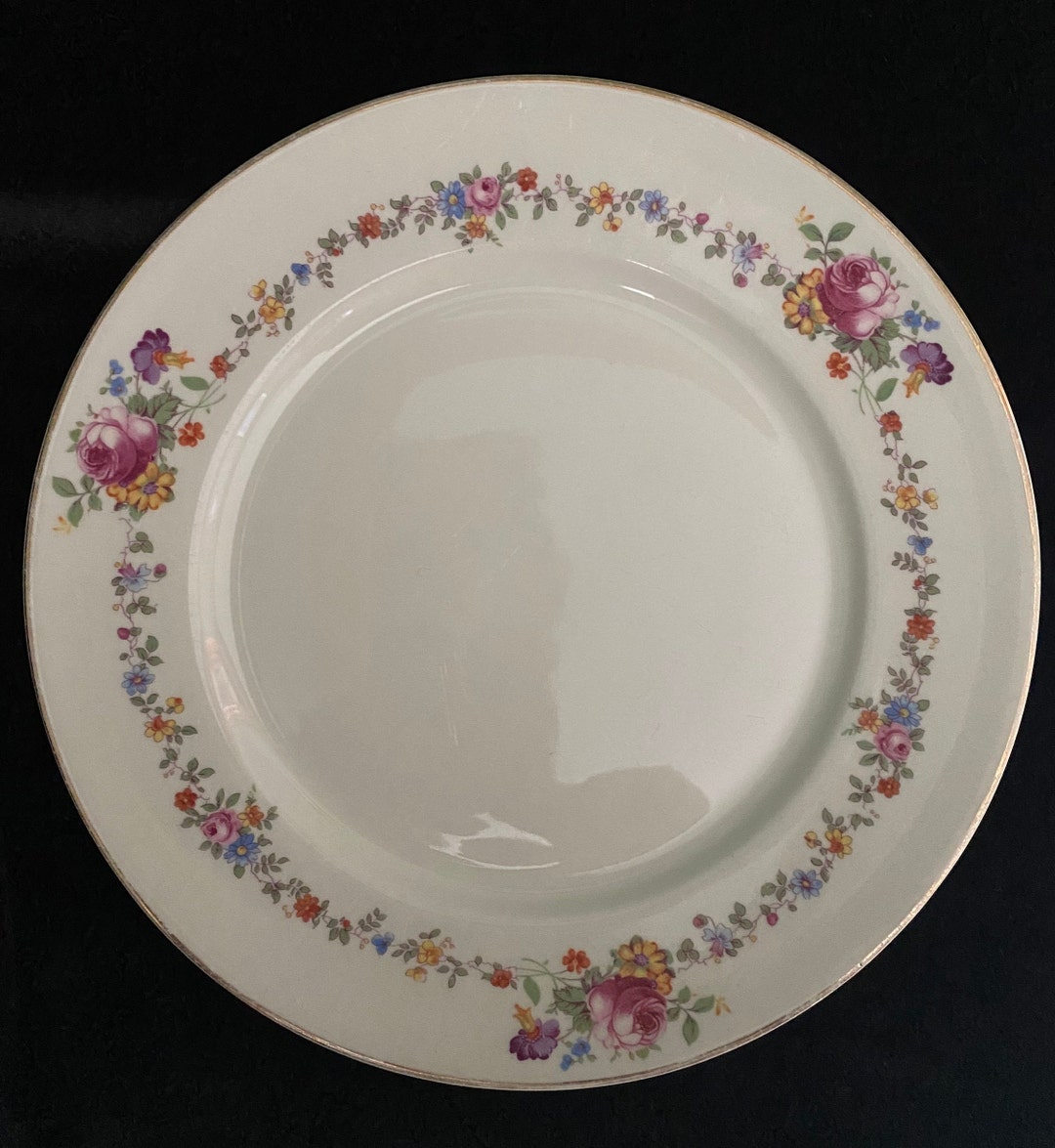 Warwick USA Luncheon Plate, 9-5/8 Inches, "ab9474" Pattern, Hand ...