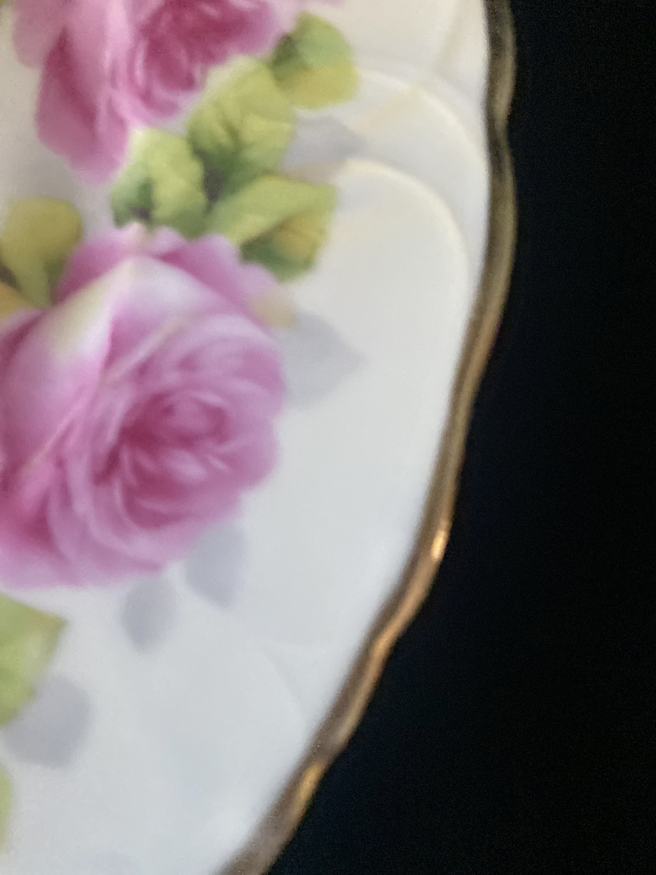 Antique Royal Rudolstadt, Beyer & Bock, Plate, Hand Painted Ring of ...