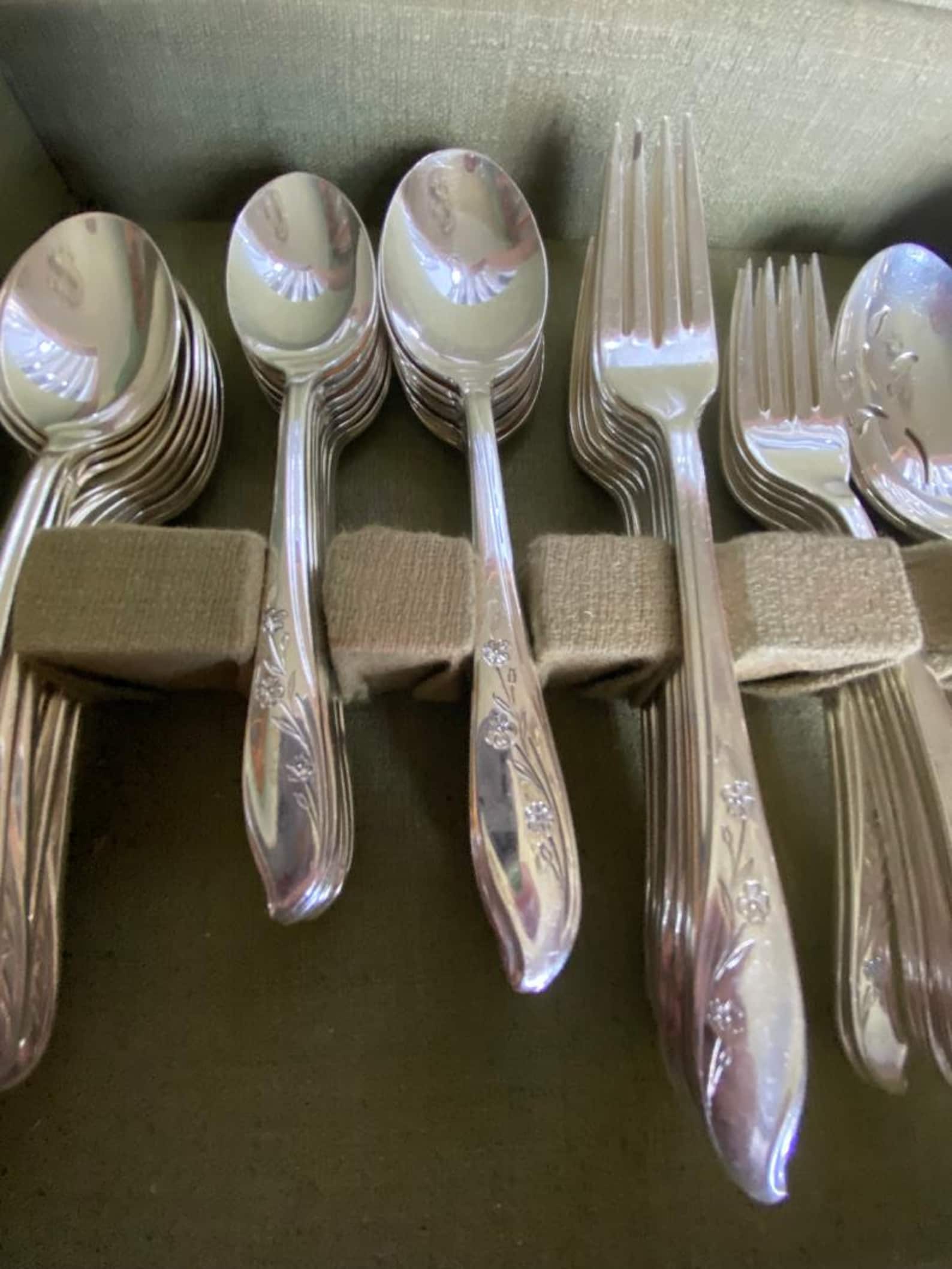 1847 Rogers Bros. International Silver (IS) Flatware, "springtime ...