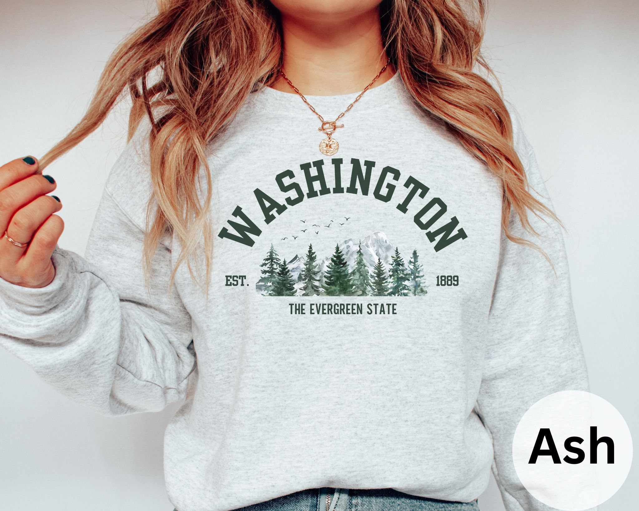 Washington State Crewneck Sweatshirt: Evergreen Travel Pullover - Etsy