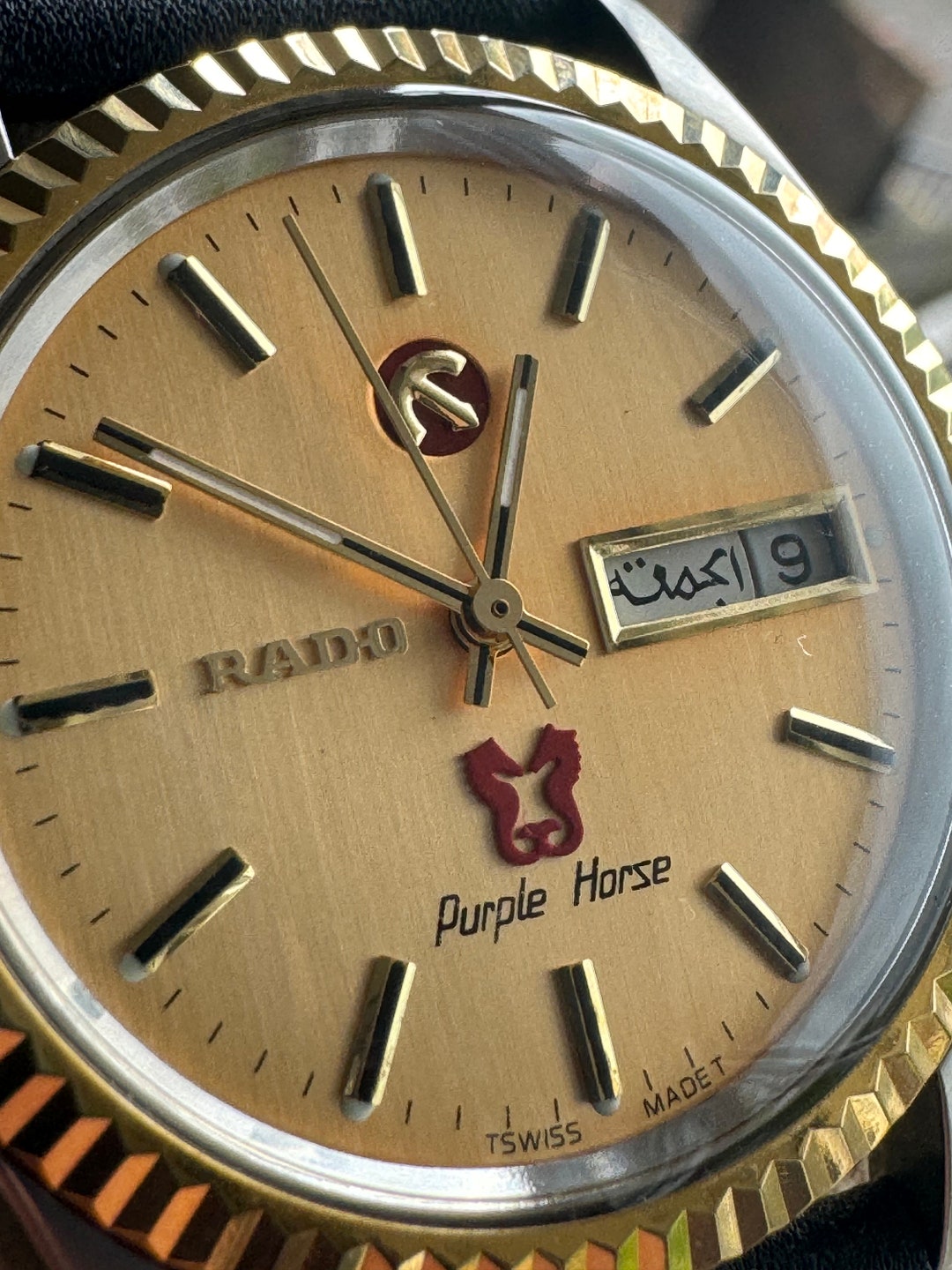 Vintage Rado Purple Horse - Etsy