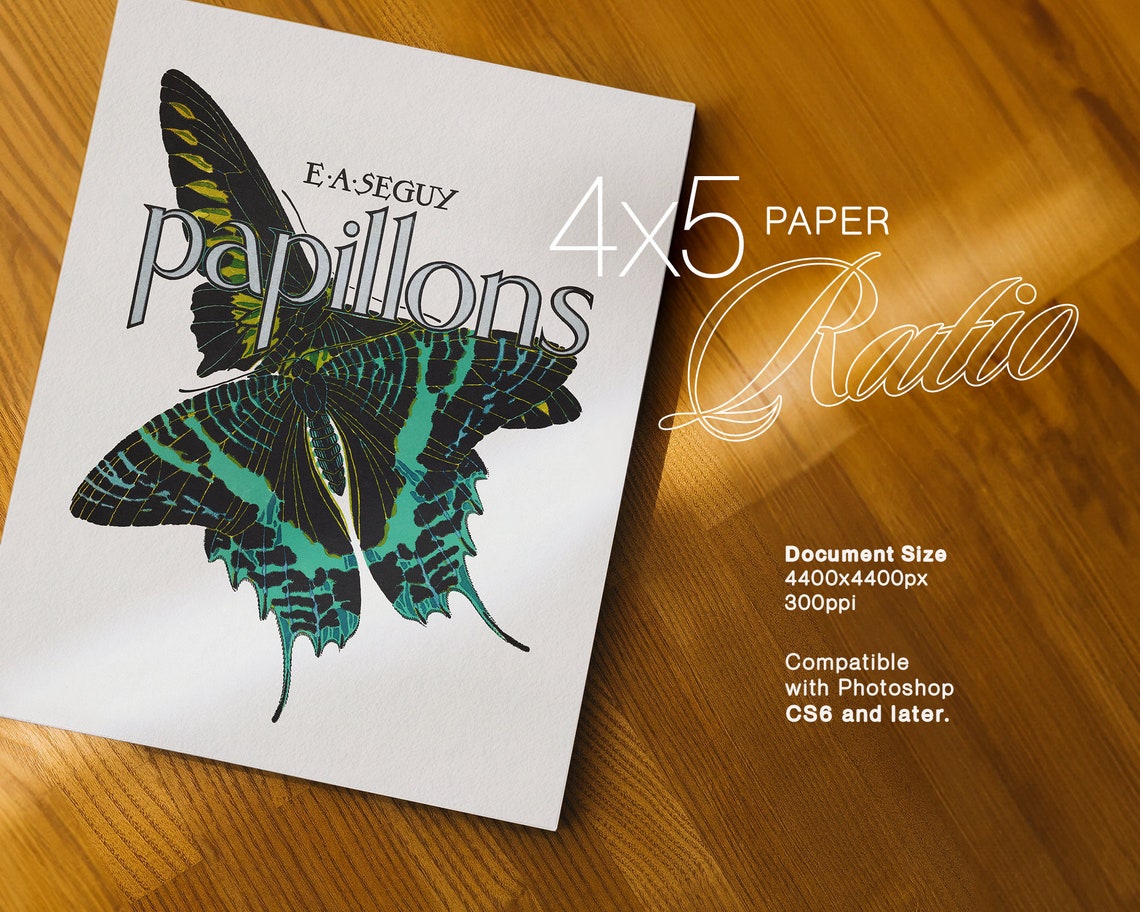 4x5 Paper Photoshop Mockup | Digital Flatlay Paper Mockup for Art and ...
