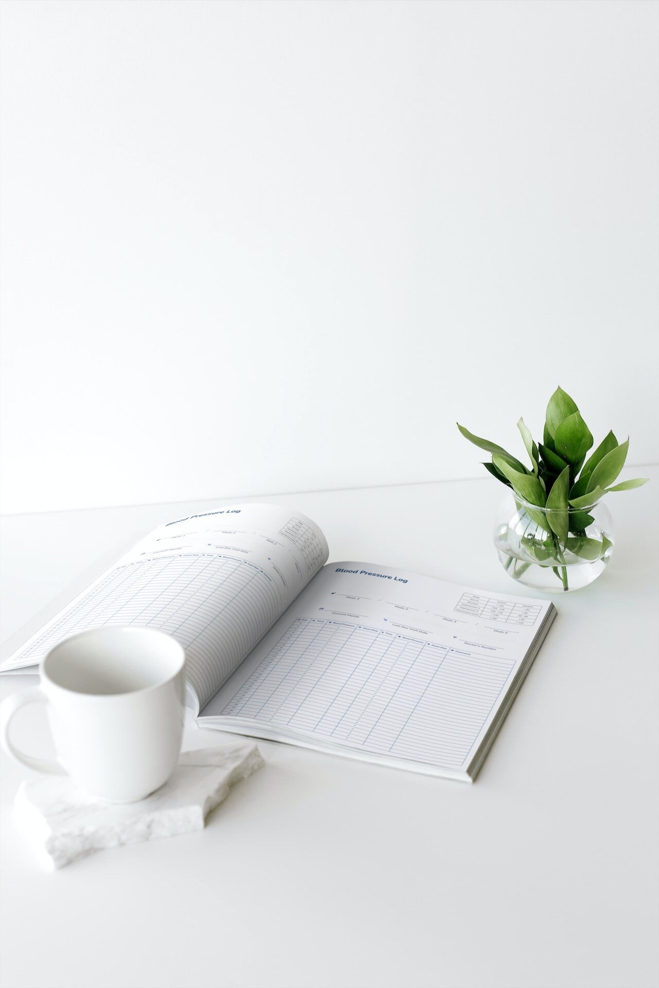 Blood Pressure Tracker, Hypertension Monitor Chart, BP Log, Digital ...