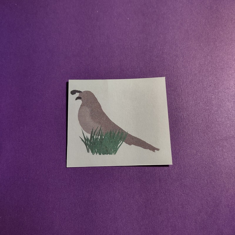 Quail Stickers - Etsy