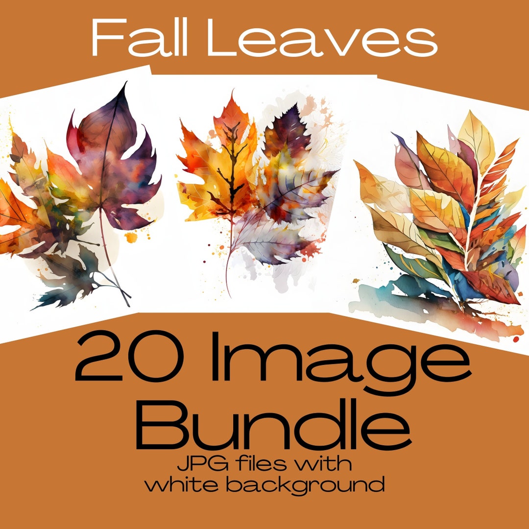 Watercolor Fall Leaves Clipart, Autumn Clipart, Fall Clipart ...