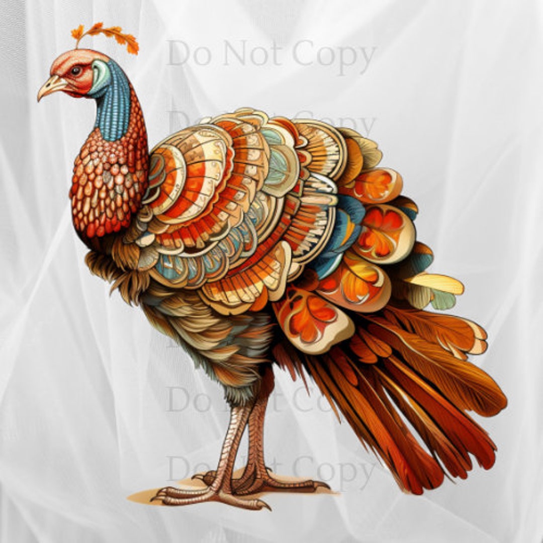 Watercolor Turkey Clipart: Thanksgiving PNG Images (digital Download ...