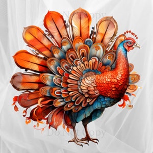 Thanksgiving Turkey Clipart: Bold Fall PNG Images (digital Download) - Etsy
