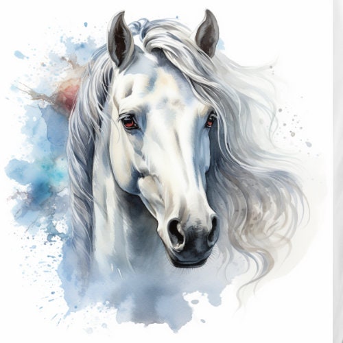 White Watercolor Horse PNG, 12 Horse PNG Set, Horse Clipart, Ranch ...