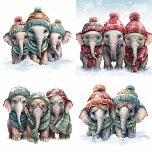 Baby Elephant Dressed for Winter Clipart, 15 High Quality PNG Digital ...