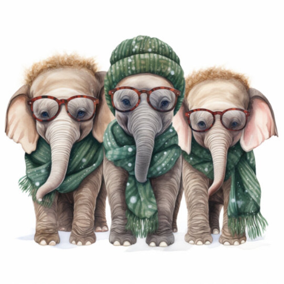 Baby Elephant Dressed for Winter Clipart, 15 High Quality PNG Digital ...