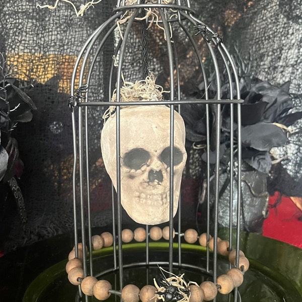 Skull Cage - Etsy