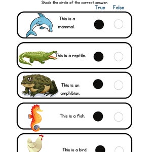 Earth Science Worksheets for Grades 3-4 | Interactive Kids Activities ...