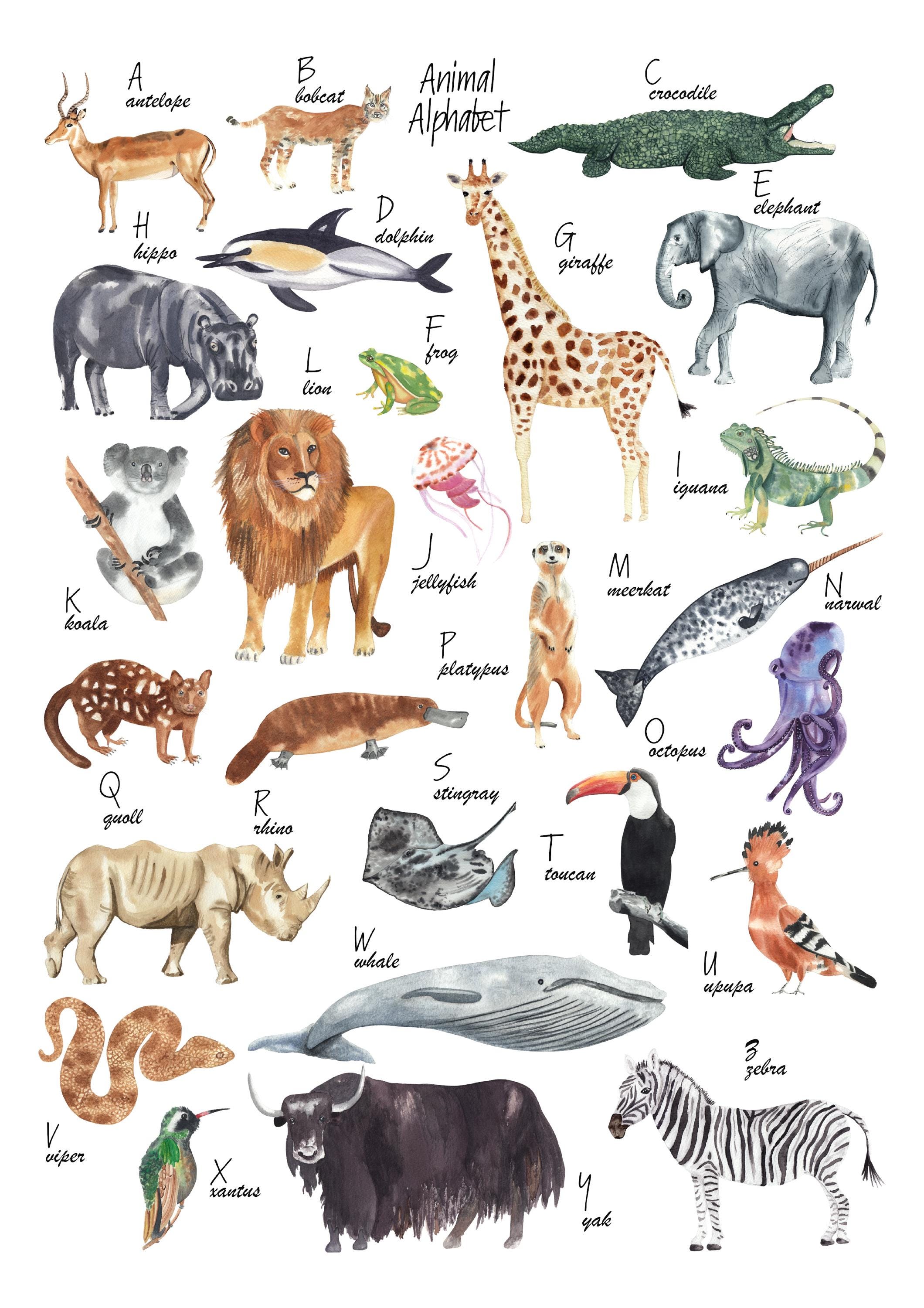 ABC Alphabet Animals Poster Printable | Educational Wall Art for Kids ...