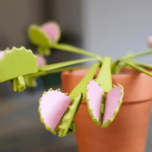 Venus Snack Trap: Unique Venus Flytrap-inspired Bag Clips for Your Kitchen | Forgecore - Etsy
