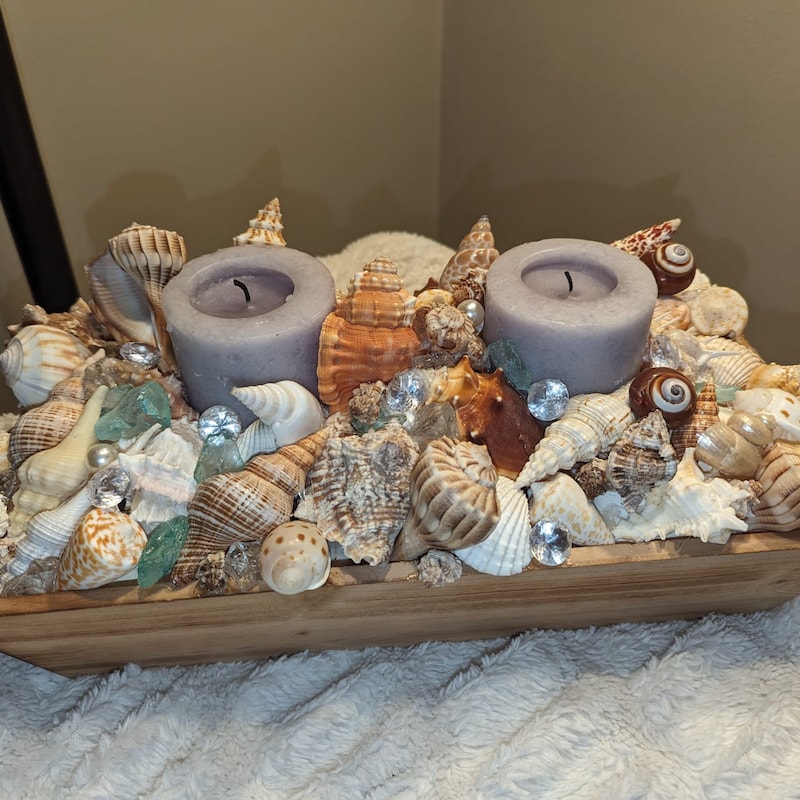 Seashell Centerpiece - Etsy