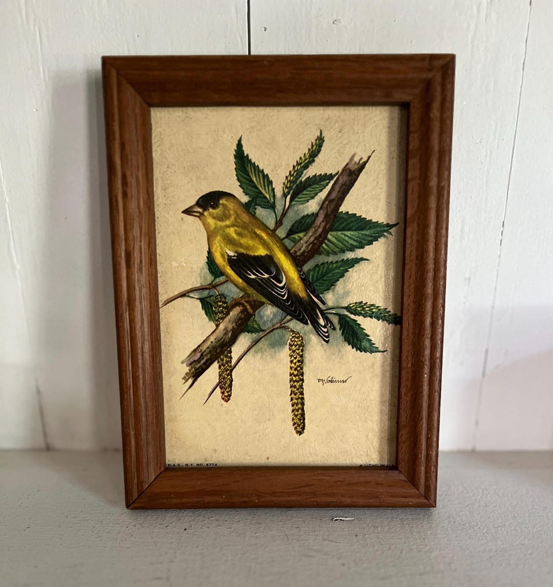 Vintage Lithograph Print of Goldfinch Bird on Branch by PH Gonner ...