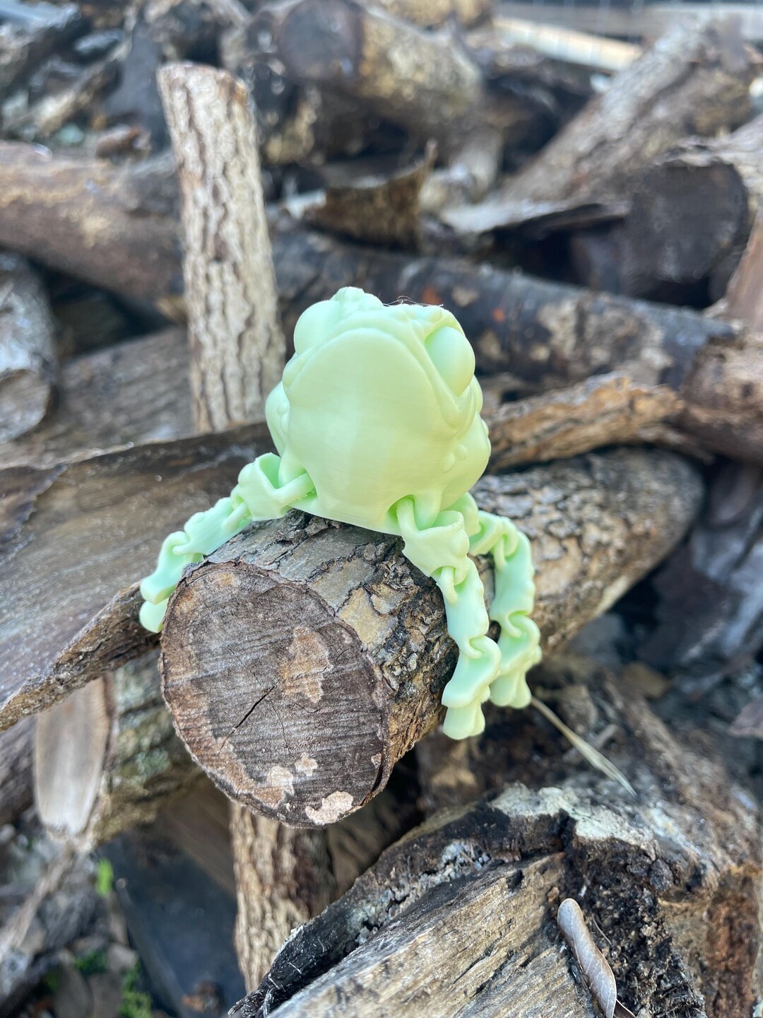 Toad, Articulated Toad, 3D Printed Toad - Etsy