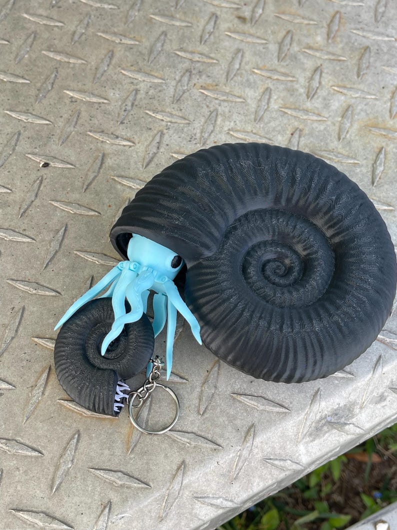 Articulated Ammonite, 3D Printed Ammonite - Etsy